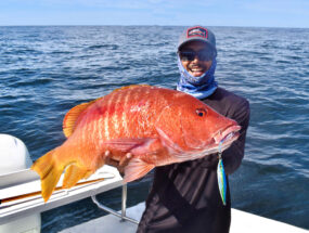 Yellow Snapper | Mexican Fish.com