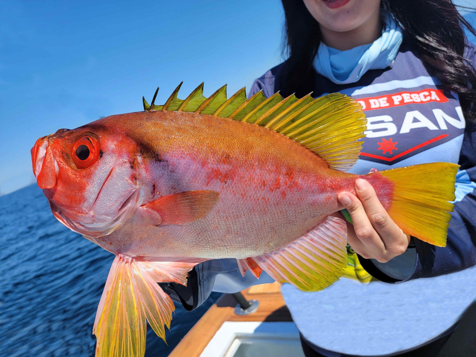 Bulleye | Mexican Fish.com
