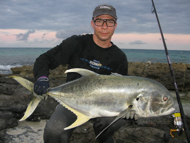 Crevalle Jack | Mexican Fish.com