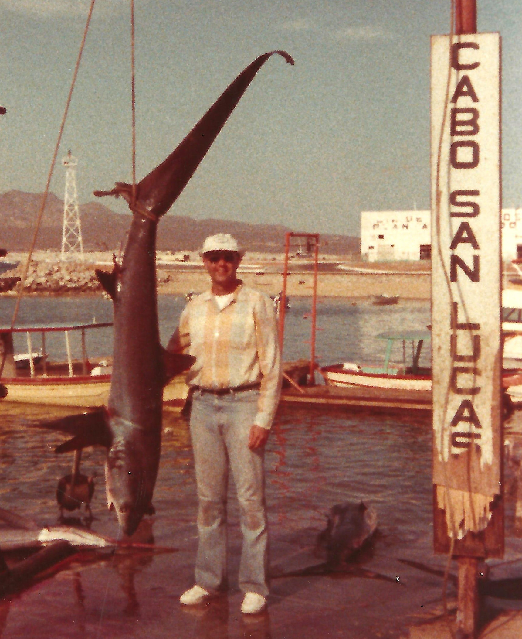 Pelagic Thresher Shark | Mexican Fish.com