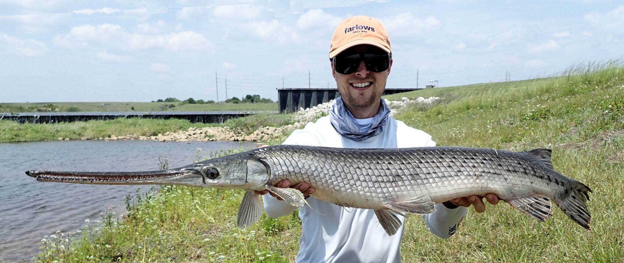Longnose Gar | Mexican Fish.com