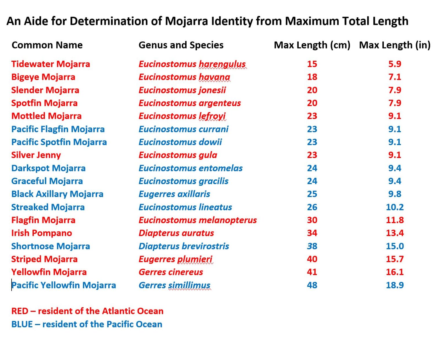 Mojarra Family Photographs, and Information – Gerreidae | Mexican Fish.com